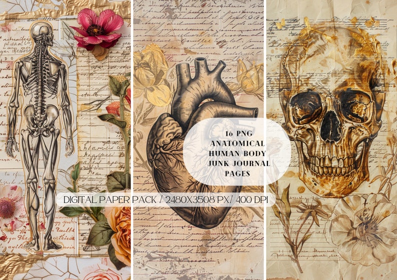 Antique Anatomy Junk Journal PNG, Vintage Skeleton and Anatomical ...