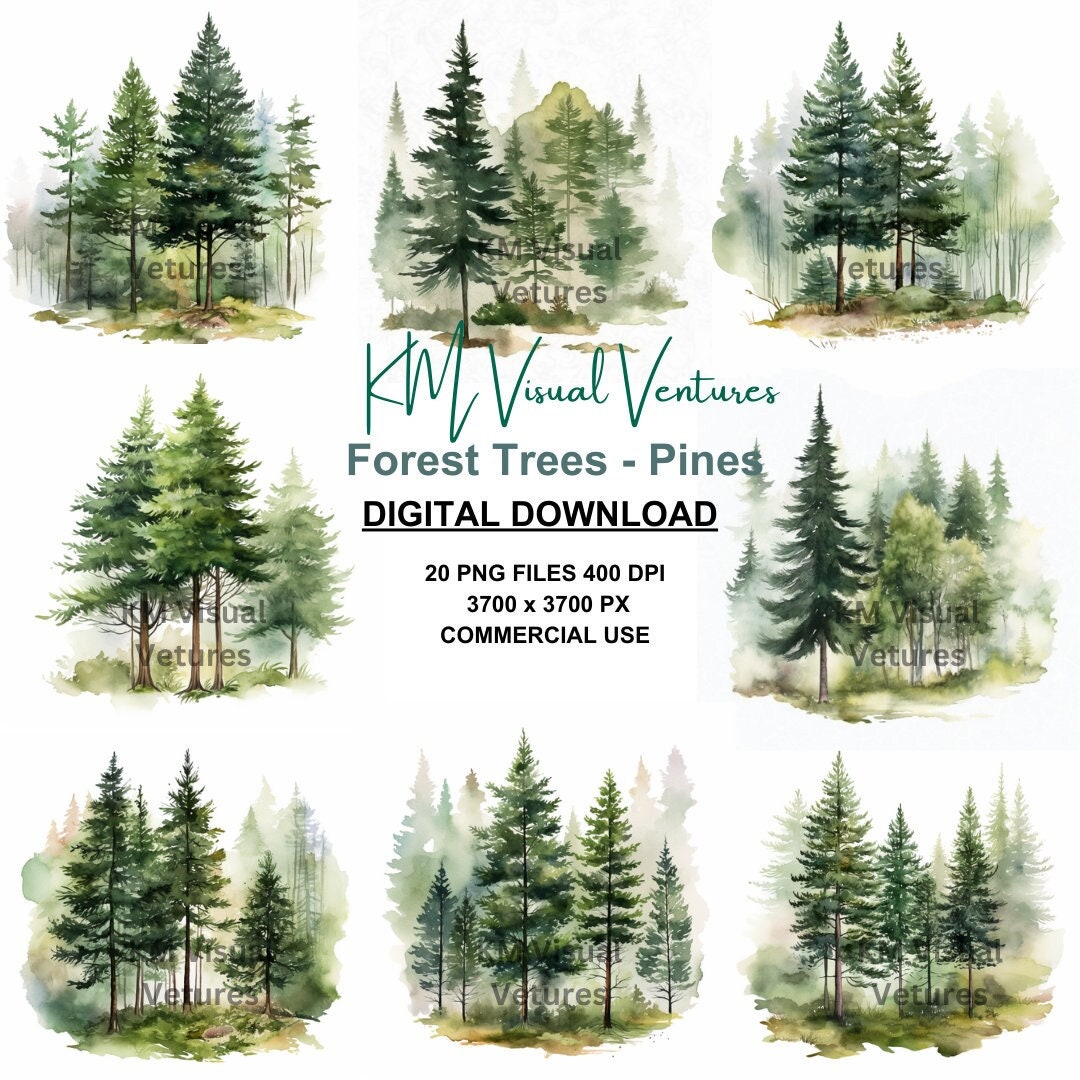 Set of 20 Watercolor Forest Tree Clipart Pine Tree Png Woodland Tree ...