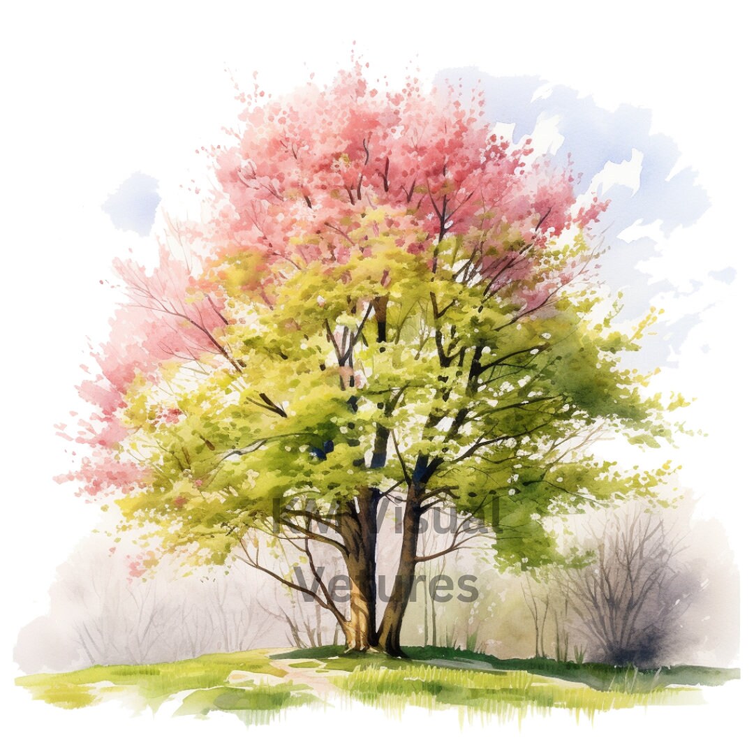Watercolor Spring Tree Clipart Png,spring Scenery, Tree Landscape ...