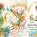 13 Pages of Watercolor Hummingbird Journal Pages PNG, A4 Pages ...