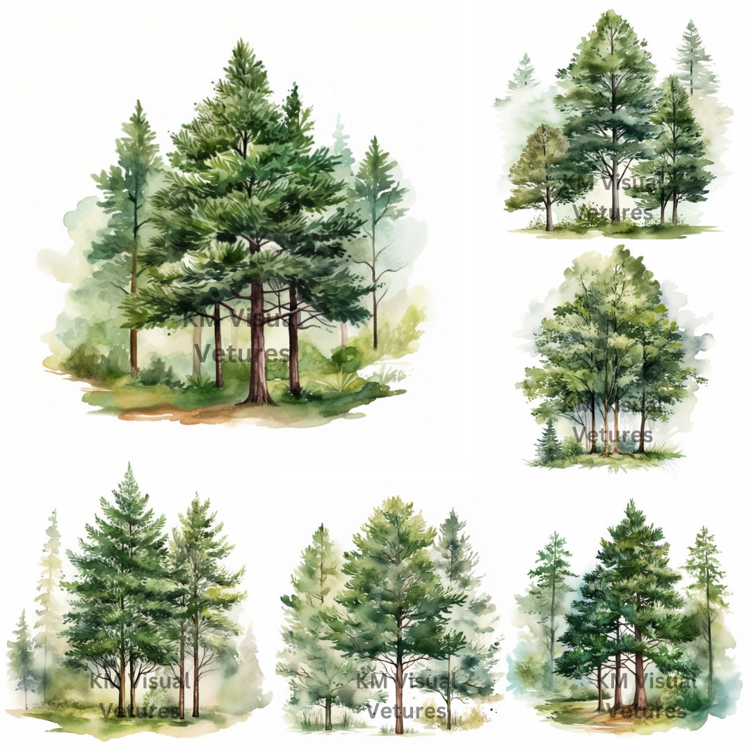 Set of 20 Watercolor Forest Tree Clipart Pine Tree Png - Etsy