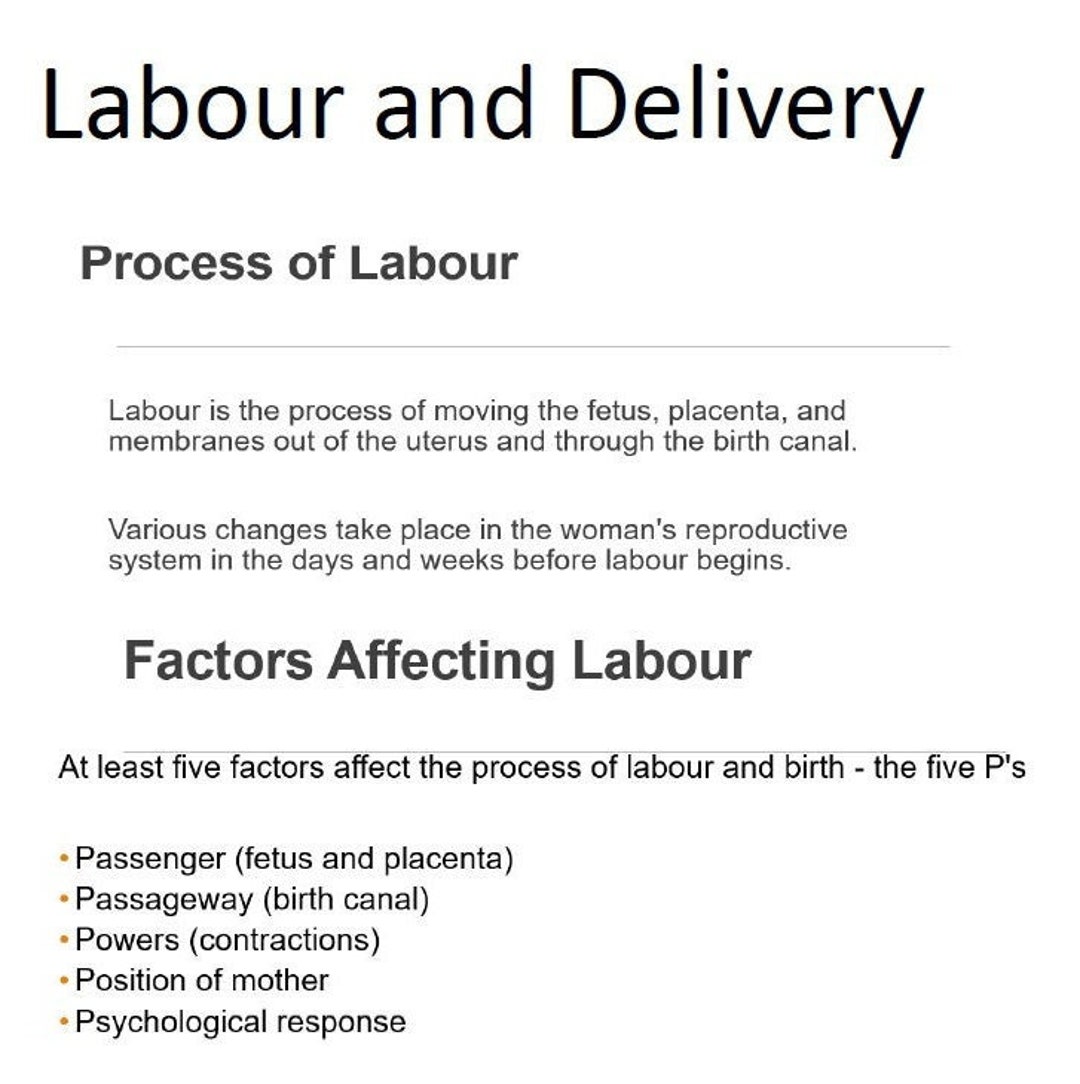 Nursing Labor and Delivery Notes Nursing Study Guides - Etsy