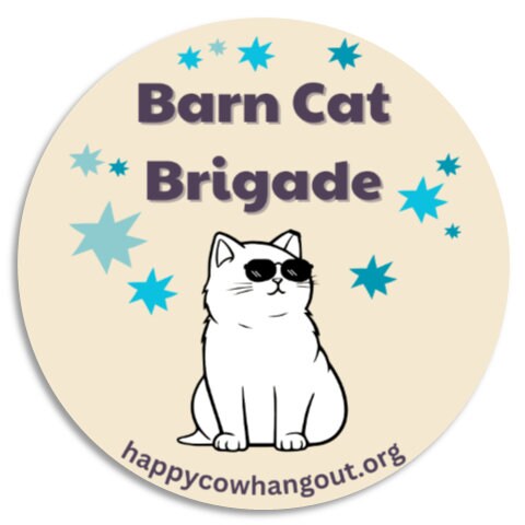 Barn Cat Brigade 3 Circle Sticker Decal Animal Lover - Etsy