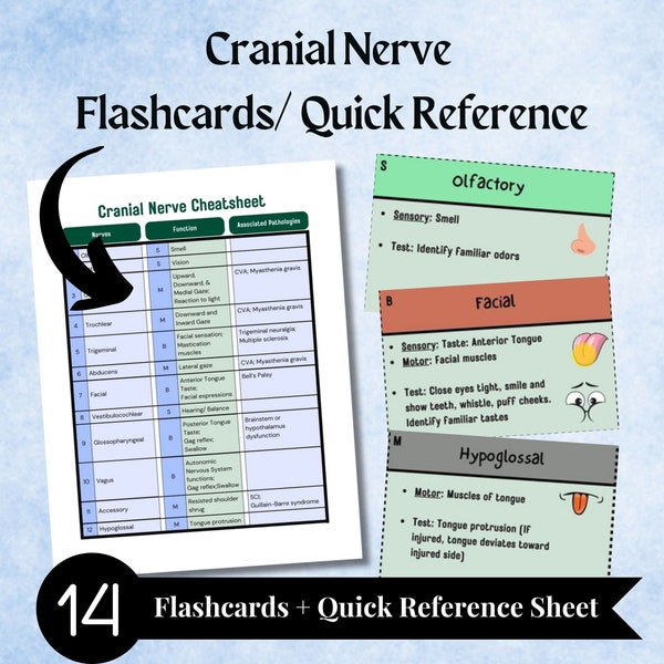 Cranial Nerve - Etsy