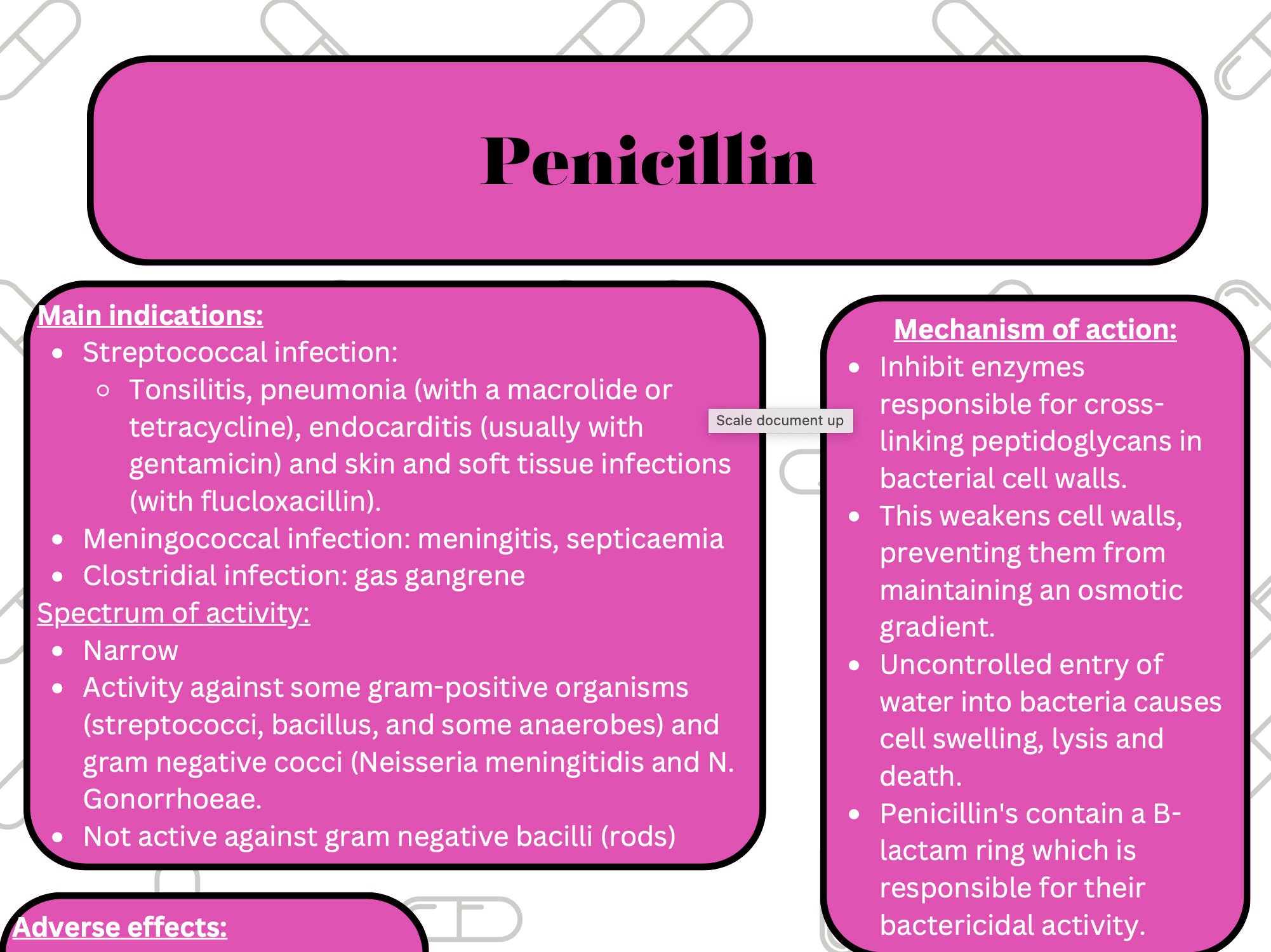 Antibiotic Pharmacology Notes PA Student UK - Etsy