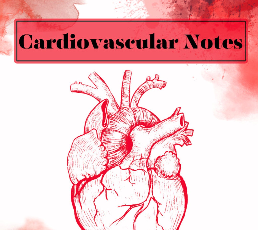 Cardiovascular Notes for PA Students - Etsy