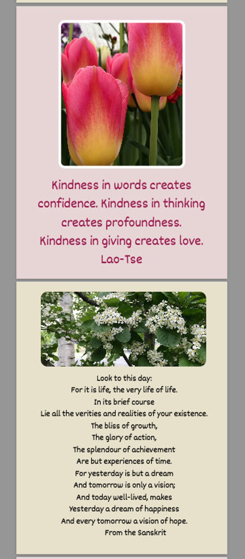 Inspiring Quotes & Flower Photos - Etsy