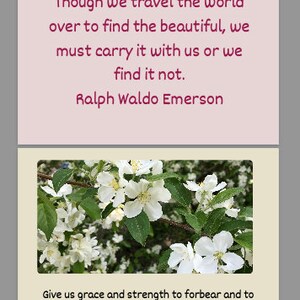 Inspiring Quotes & Flower Photos - Etsy