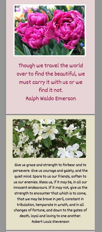 Inspiring Quotes & Flower Photos - Etsy