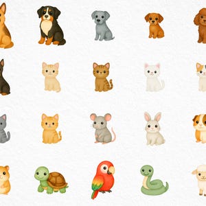 Watercolor Vet Clipart, Veterinary PNG, Animals, Medical Tools, Vet ...