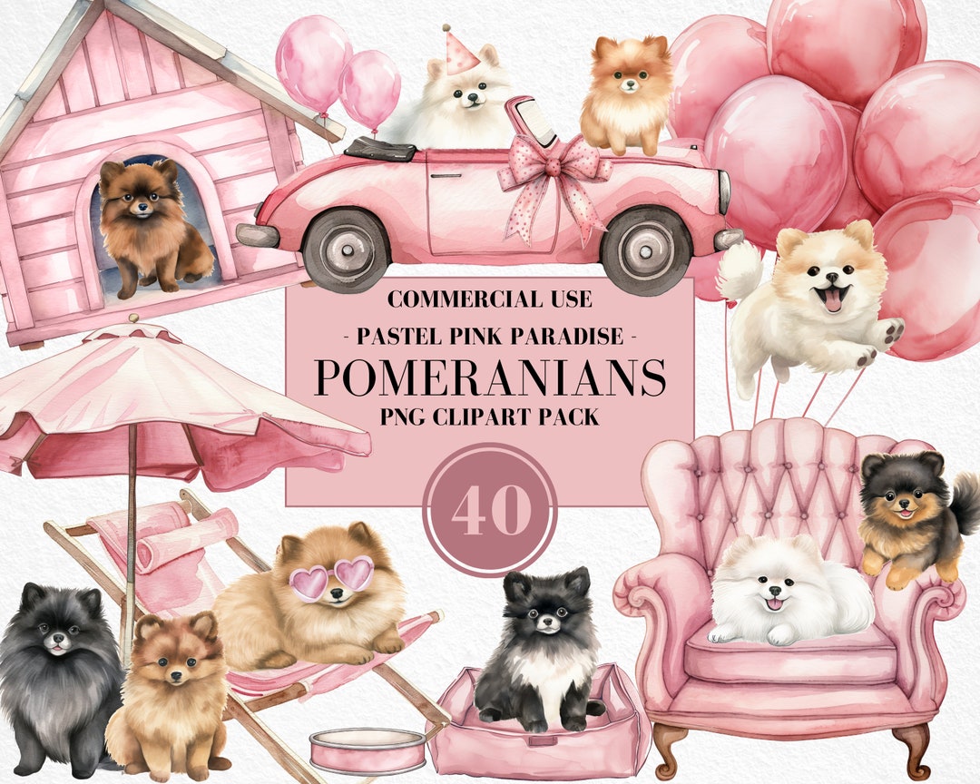 Watercolor Pink Paradise Pomeranian Clipart, Sweet Puppy, Pomeranians ...