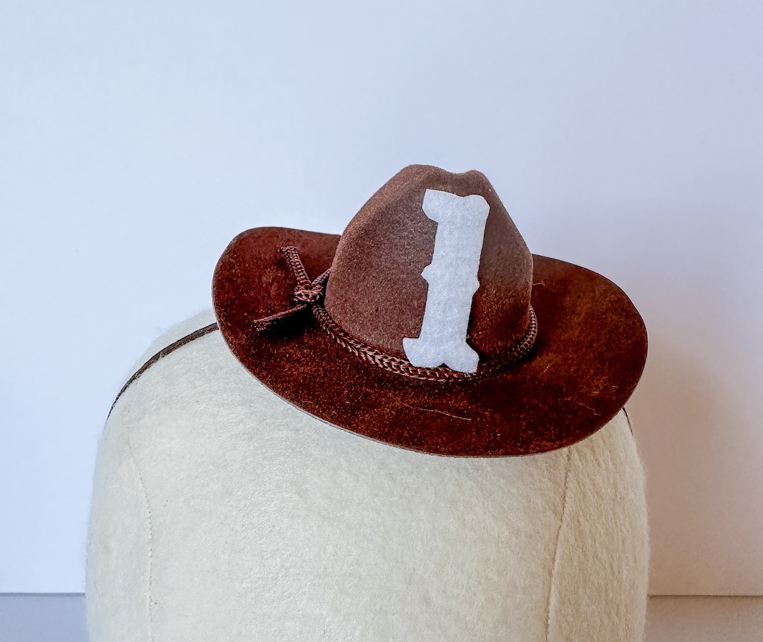Rodeo Cowboy First Birthday Hat, Boy Girl Party Hat, Western One Mini ...