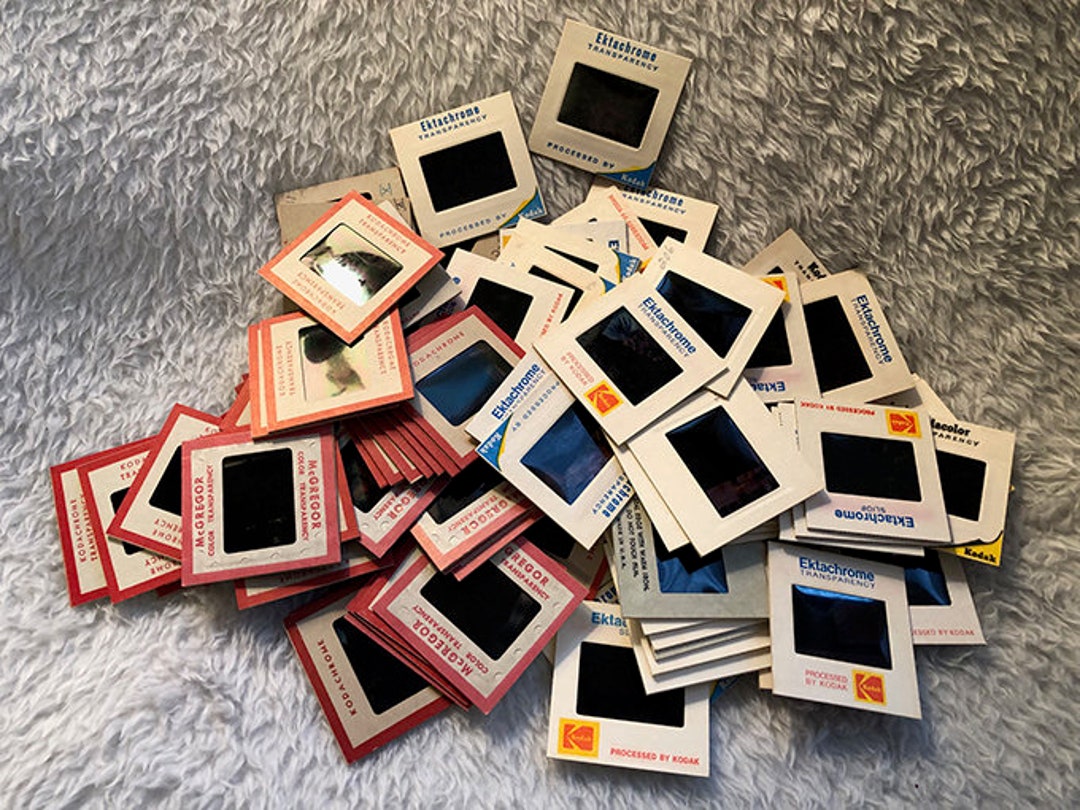 Curated Selection of Vintage Photo Slides of Flowers From Around the ...