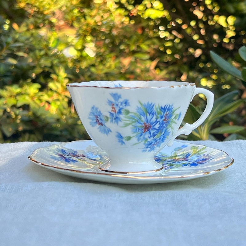 Royal Albert Forget Me Not - Etsy