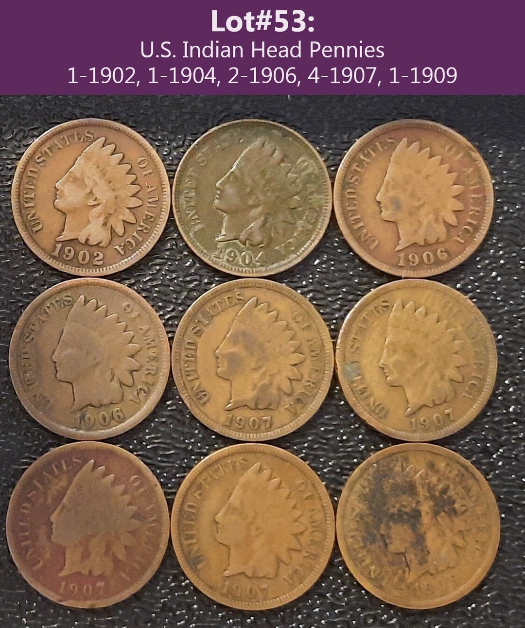 Lot#053: Early 1900's U.S. Indian Head Pennies - 9 Coins in Lot. - Etsy