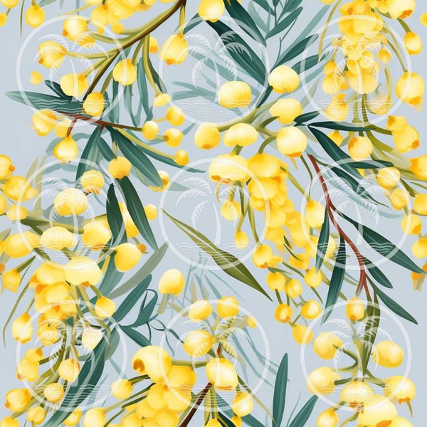 Wattle Drawing - Etsy Australia