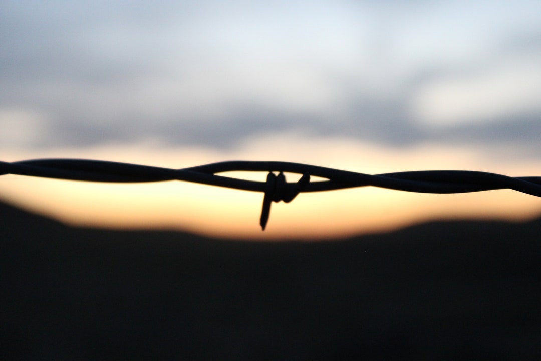 Barbed Wire Sunset Photography Wall Art Sunset Photography Farm and ...