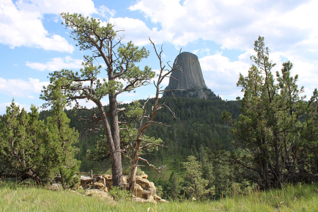 Nature Framing Devils Tower~ Black Hills Wyoming~ Black Hills~ Wyoming ...