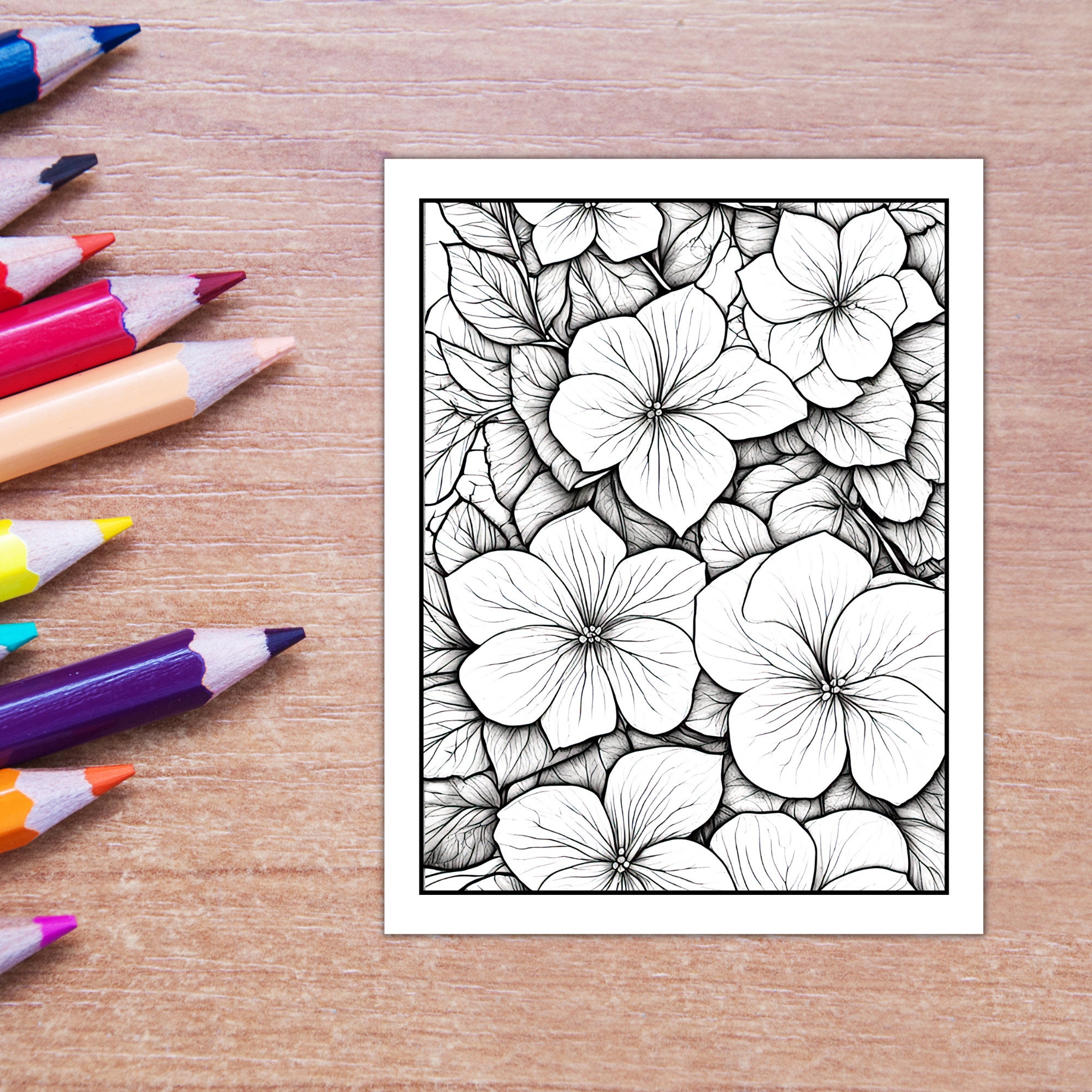 40 Relaxation Flower Coloring Pages, Botanical Floral Printables, Adult ...