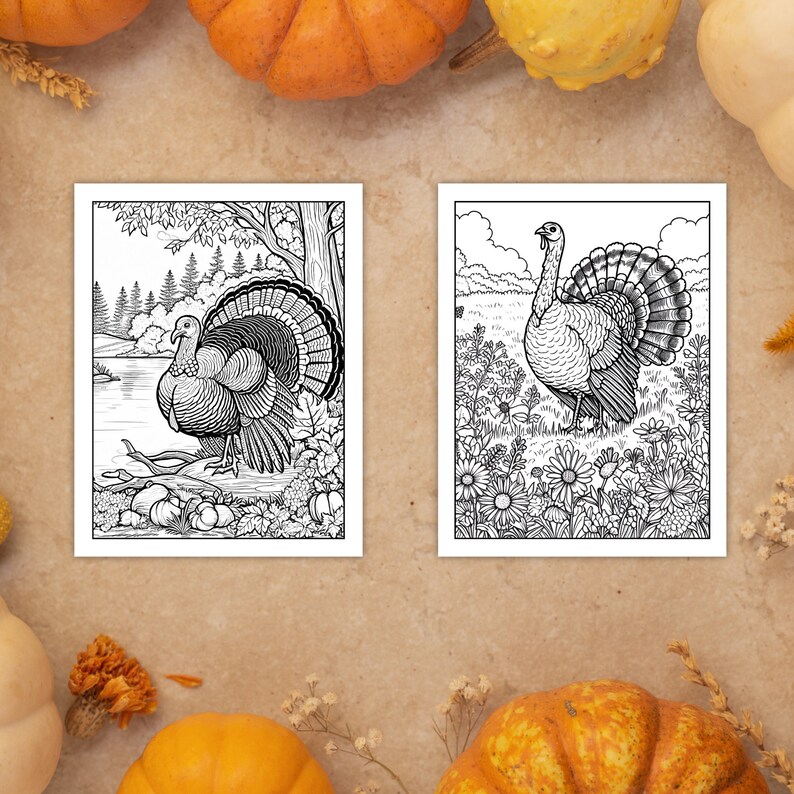 30 Turkey Coloring Pages, Autumn Fall Printables, Printable ...