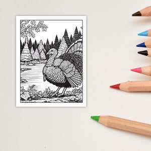 30 Turkey Coloring Pages, Autumn Fall Printables, Printable ...