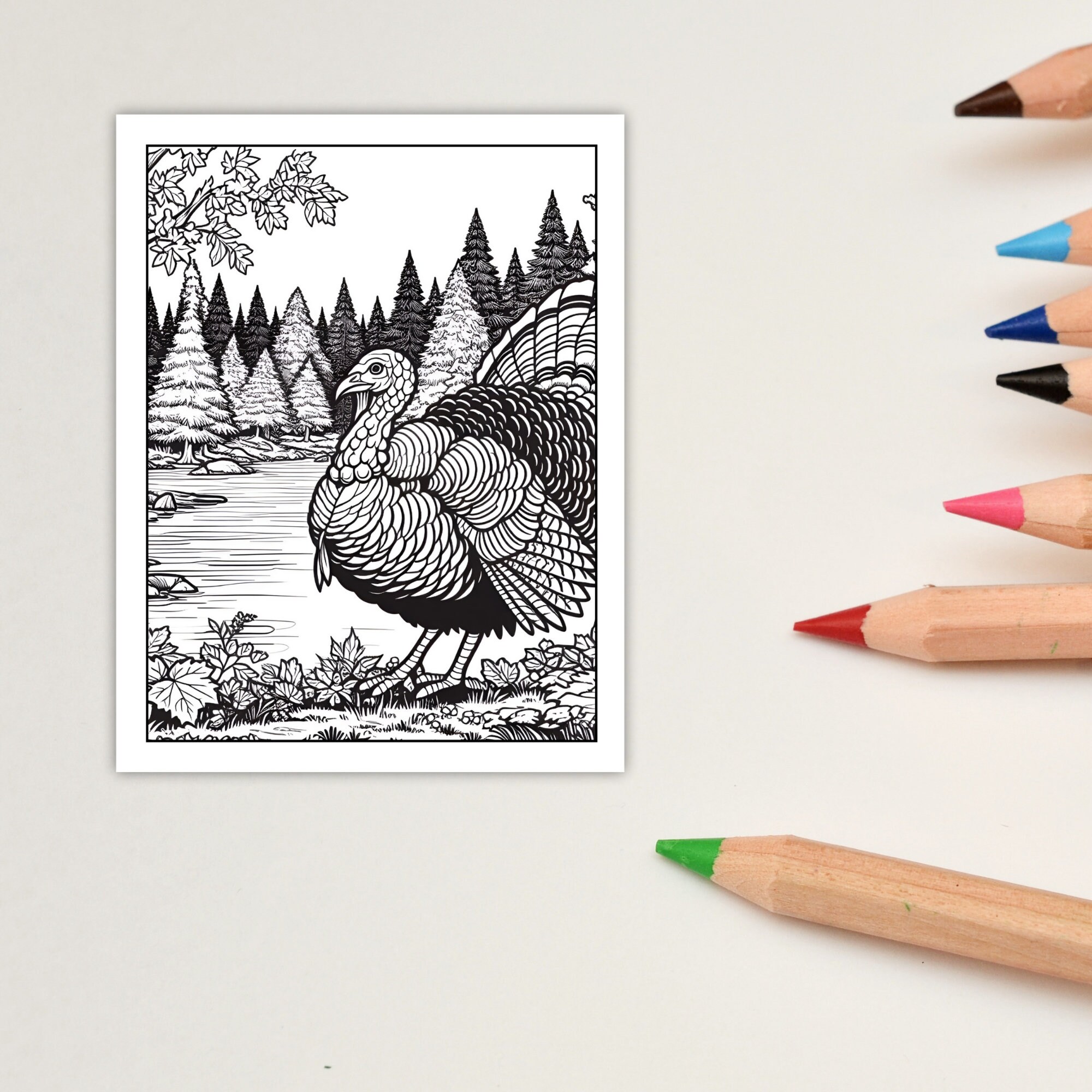 30 Turkey Coloring Pages, Autumn Fall Printables, Printable ...