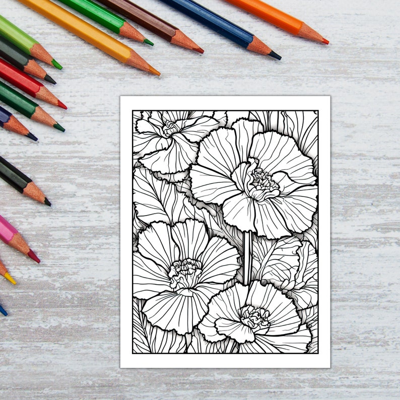 40 Relaxation Flower Coloring Pages, Botanical Floral Printables, Adult ...