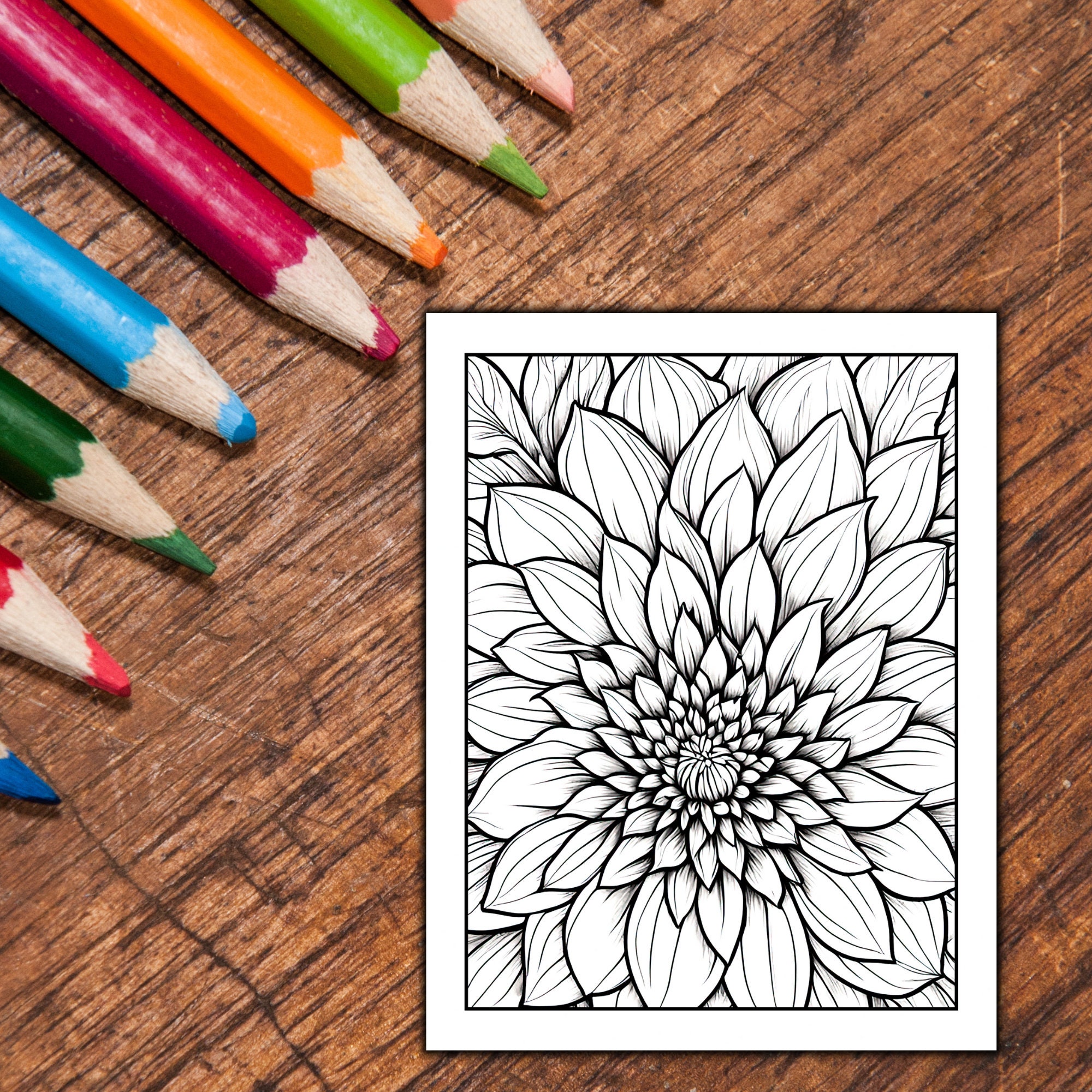 40 Relaxation Flower Coloring Pages, Botanical Floral Printables, Adult ...