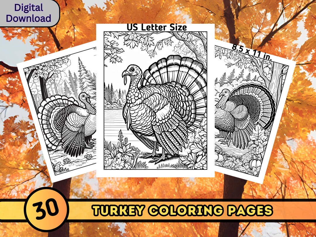 30 Turkey Coloring Pages, Autumn Fall Printables, Printable ...
