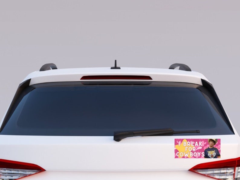 Trisha Paytas Bumper Sticker - Etsy