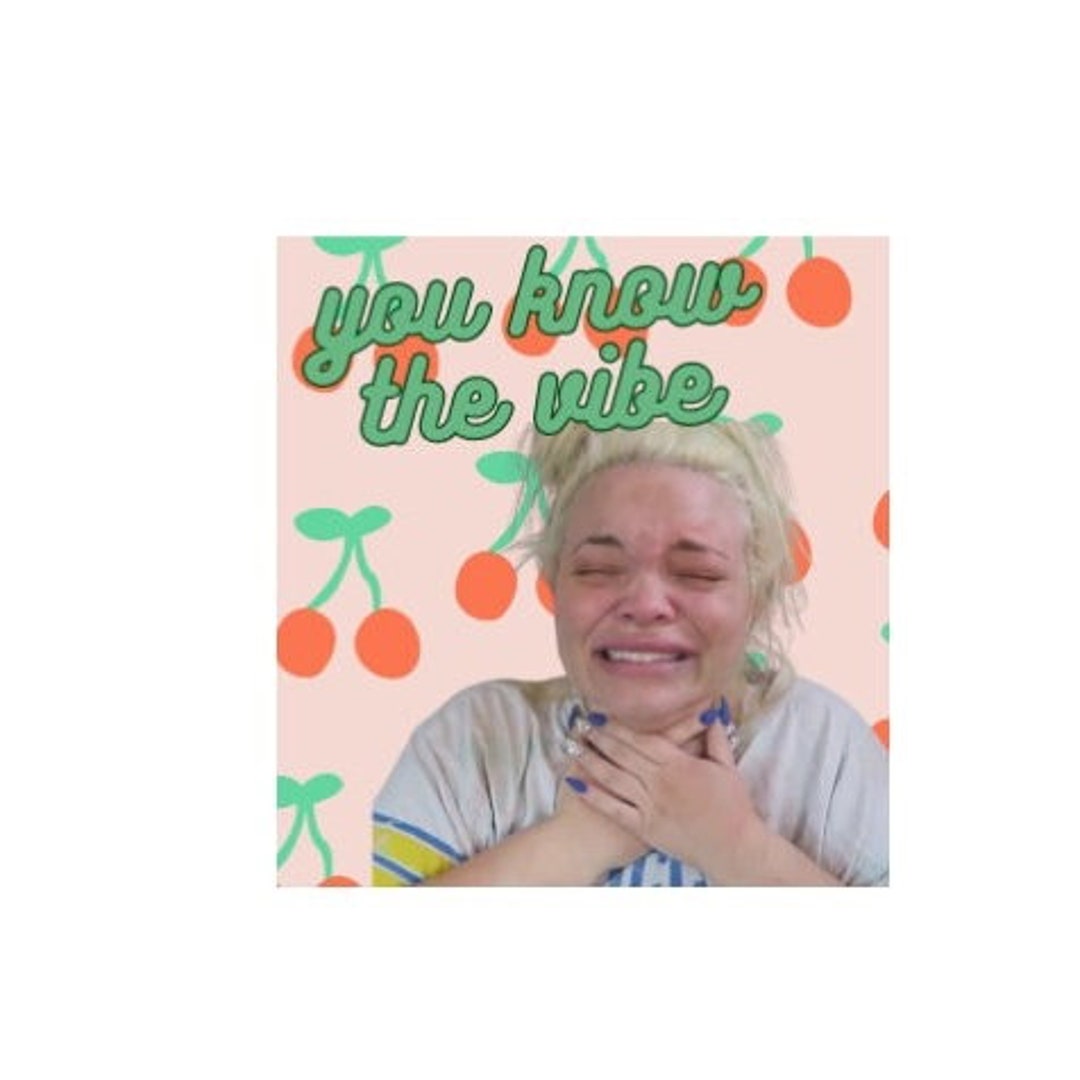 Trisha Paytas Sticker 3 - Etsy