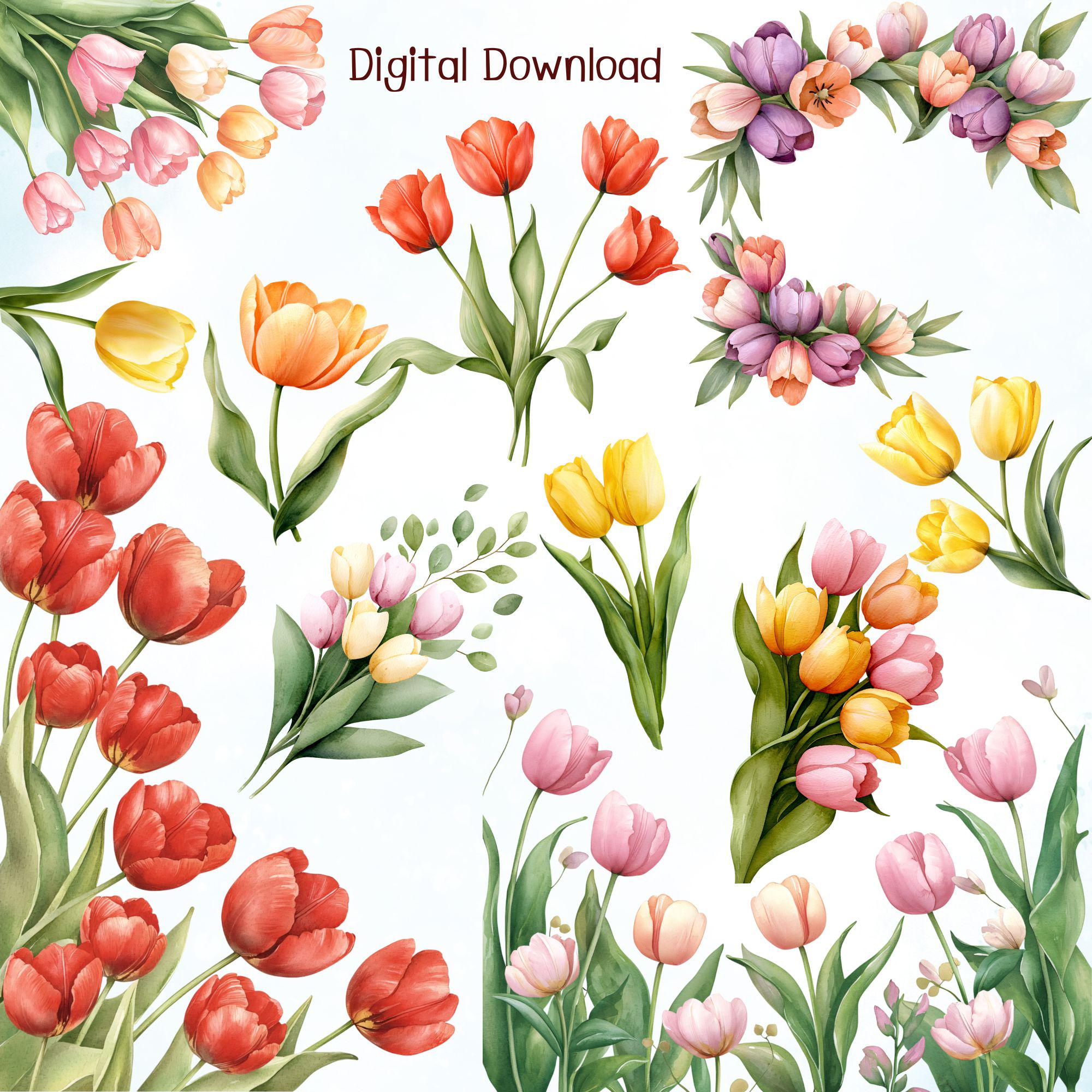 52 PNG, Watercolor Tulips Clipart Bundle - Perfect for Wedding ...