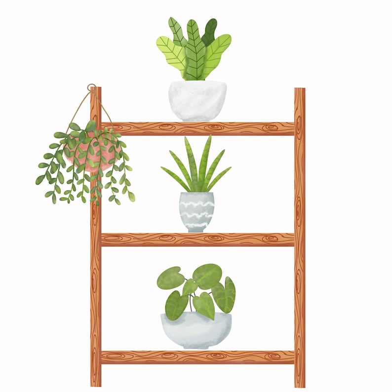 Houseplants Clip Art Set and Shelf , Digital Download,watercolor Art ...
