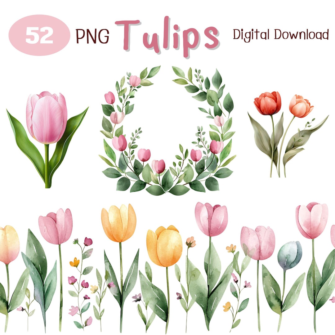 52 PNG, Watercolor Tulips Clipart Bundle - Perfect for Wedding ...