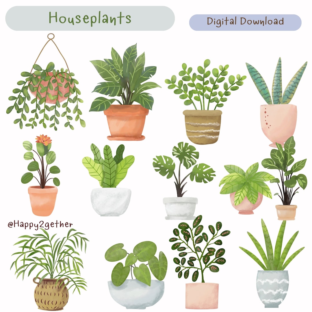 Houseplants Clip Art Set and Shelf , Digital Download,watercolor Art ...