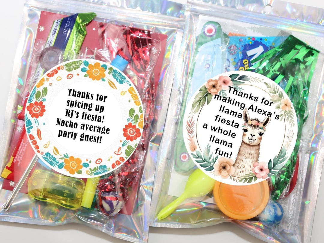 Fiesta Party Favor Goodie Bag: Taco, Nacho, Mexican Theme Favors Boy ...