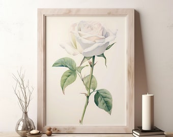 White Rose Flower Art Print Botanical Watercolors Illustration Instant ...