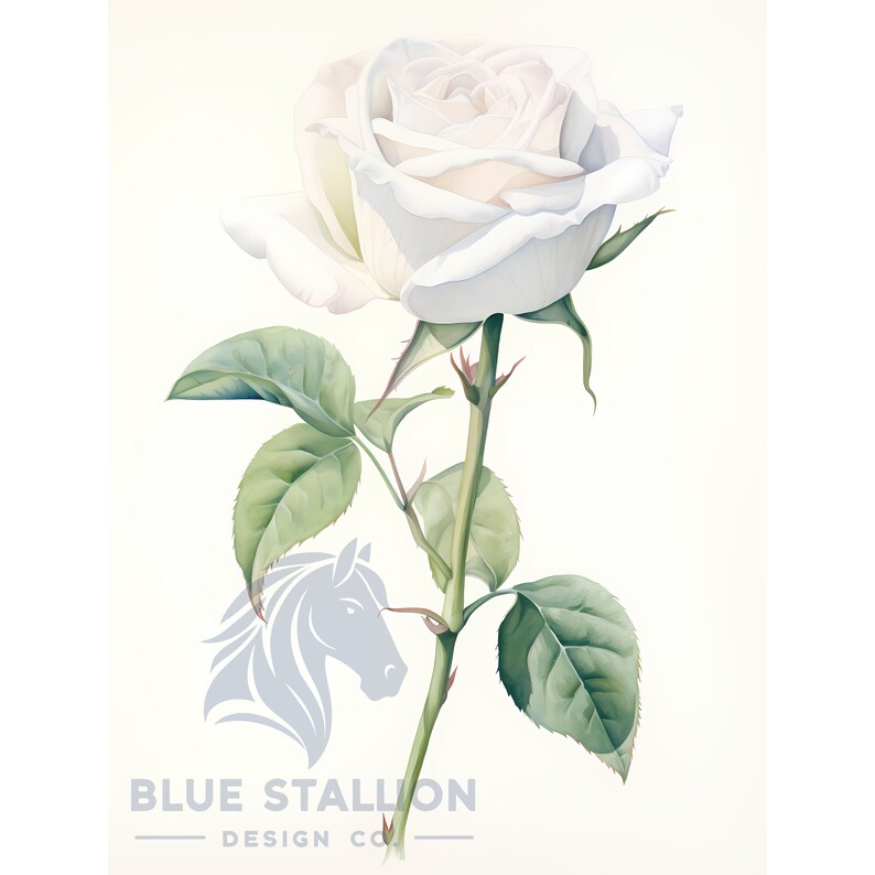 Printable White Rose Watercolor Painting, Botanical Wall Art, Digital ...
