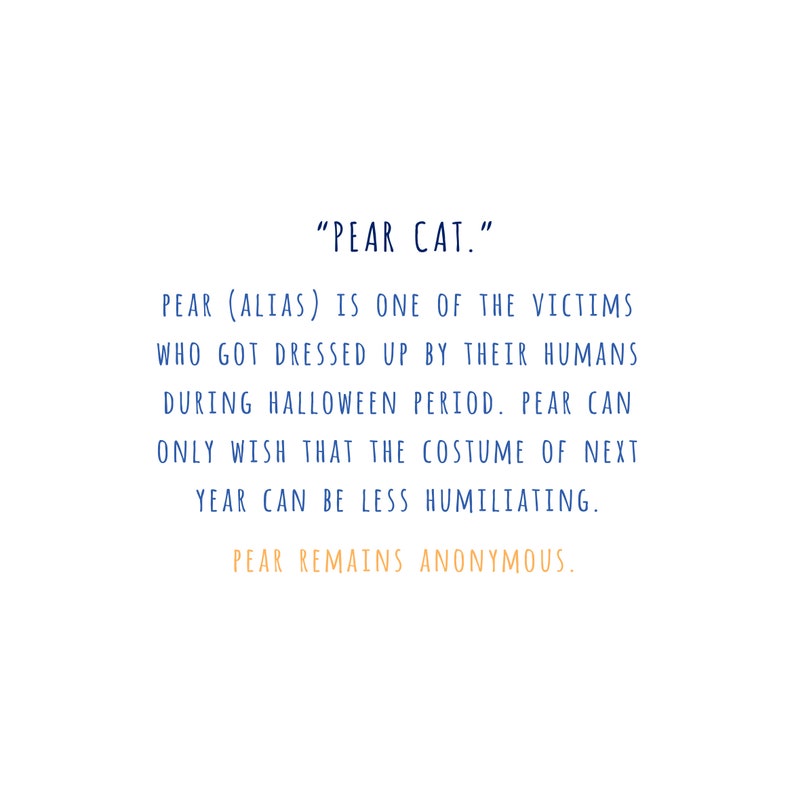 Pear Cat Cat Art Print, Funny Cat Illustration, Cat in a Fruit Costume ...