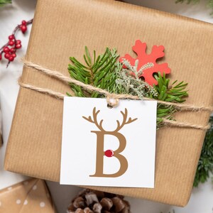 Alphabet Reindeer Rudolph Serif SVG | Alphabet SVG, Alphabet Png ...
