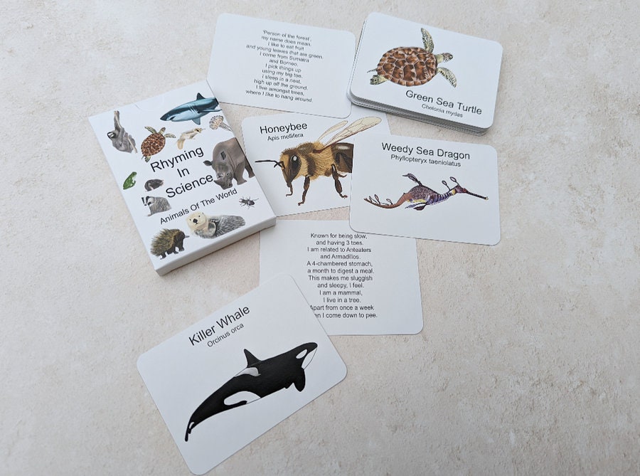 Animal Fact Cards Educational Rhyming Cards Learning Tools - Etsy