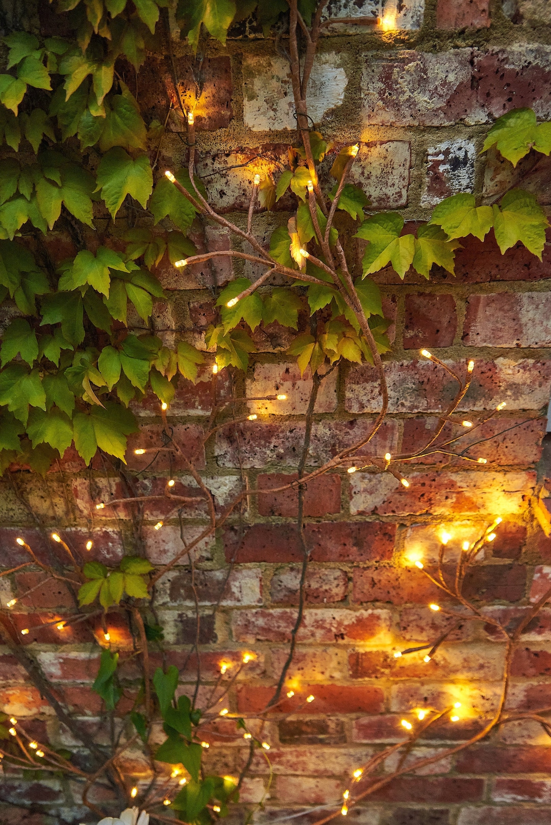 Solar Ivy Light - Brown - Etsy Australia
