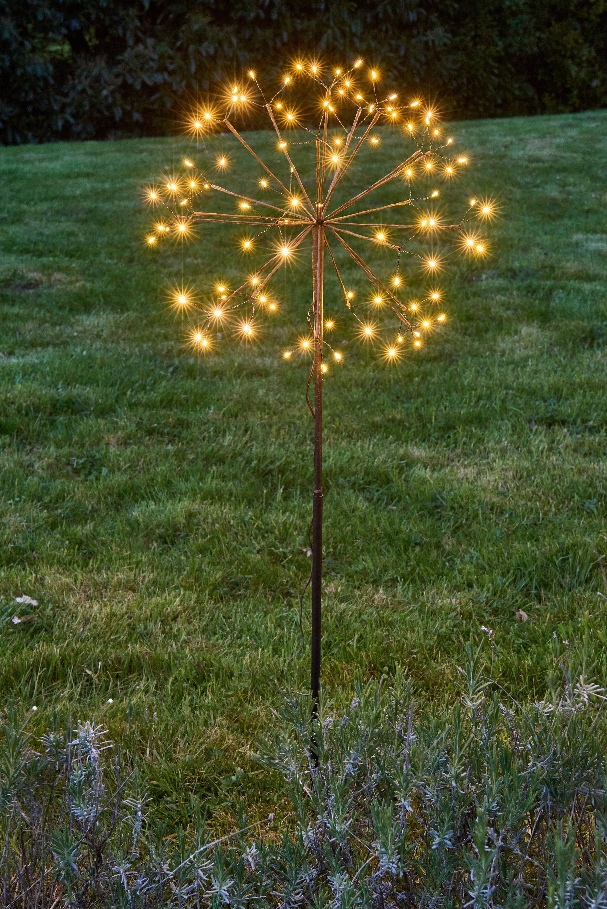 Solar Dandelion Lights - Etsy Australia
