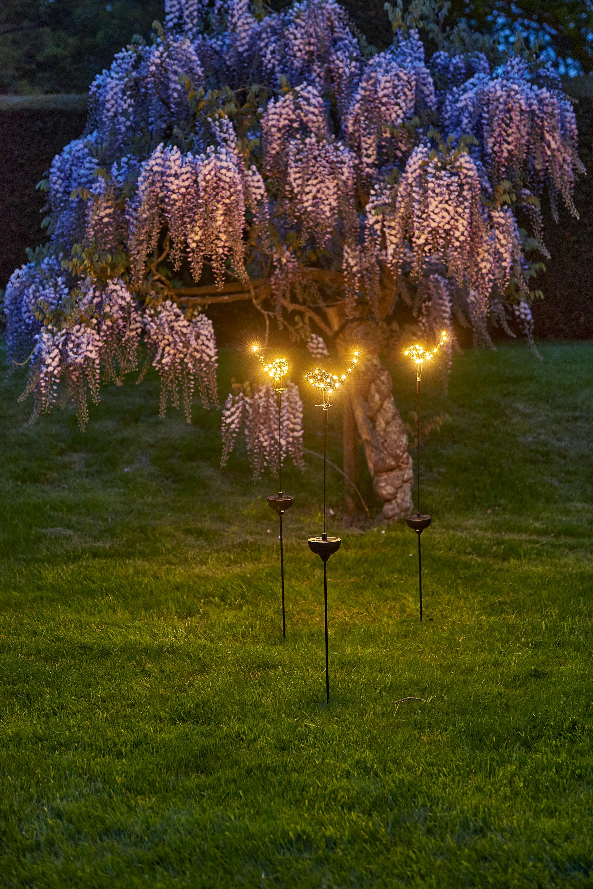 Solar Robin Stake Light - Etsy Australia