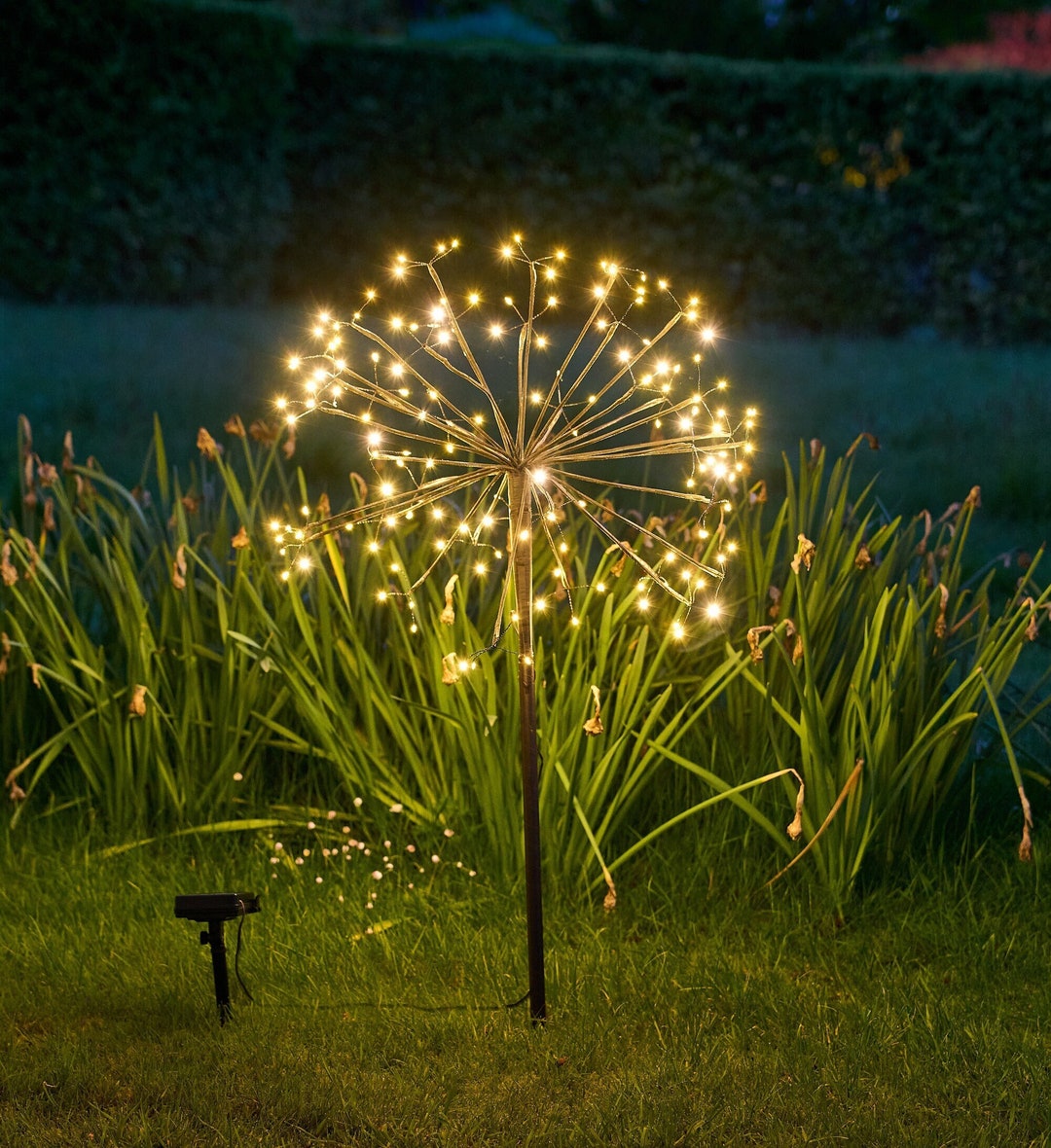 Solar Dandelion Lights - Etsy Australia