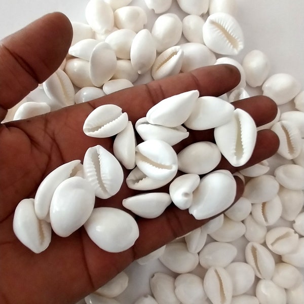 Sea Shell Crafts - Etsy