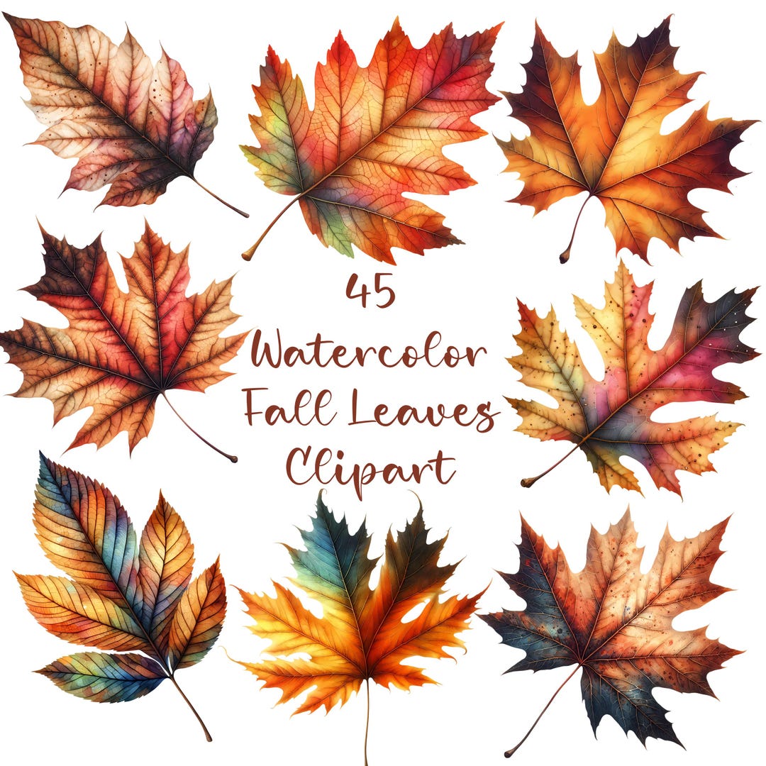 Watercolor Fall Leaves Clipart Autumn Leaves Clipart Fall Leaf Autumn ...