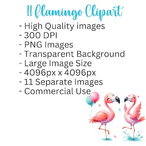 Cute Flamingo Clipart Png Cartoon Flamingo Digital Download Pink ...