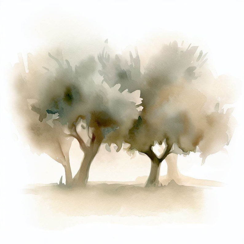 Olive Trees of Gethsemane, Digital Download, Illustration, Bible Story ...