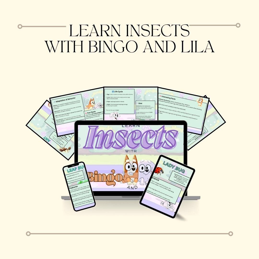 Learn Insects With Bingo and Lila - Etsy